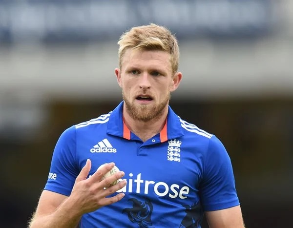 The David Willey Chapter : Domestic & International Career, Facts & Figure